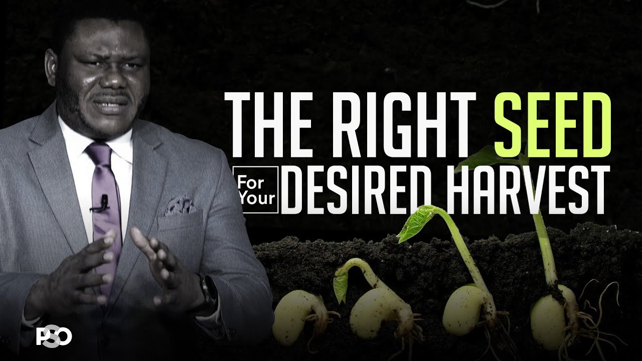 The Right Seed for Your Desired Harvest - YouTube
