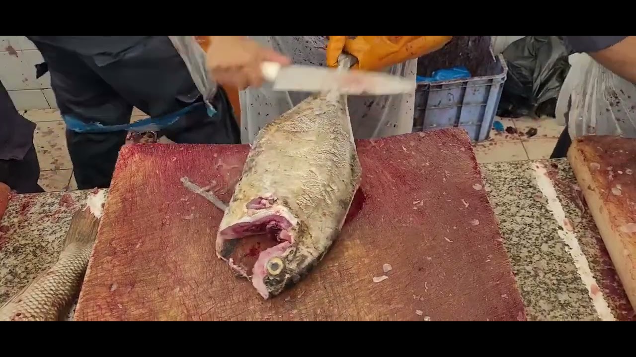 Avoid These Mistakes When Cutting Fish Fish Cutting Mistakes Fish ...