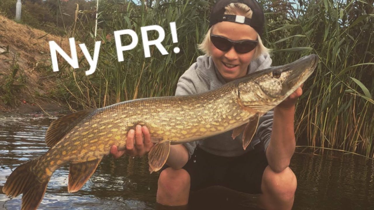 Danish Anglers På Gedde-Eventyr | 1 | Gedde Fiskeri - YouTube