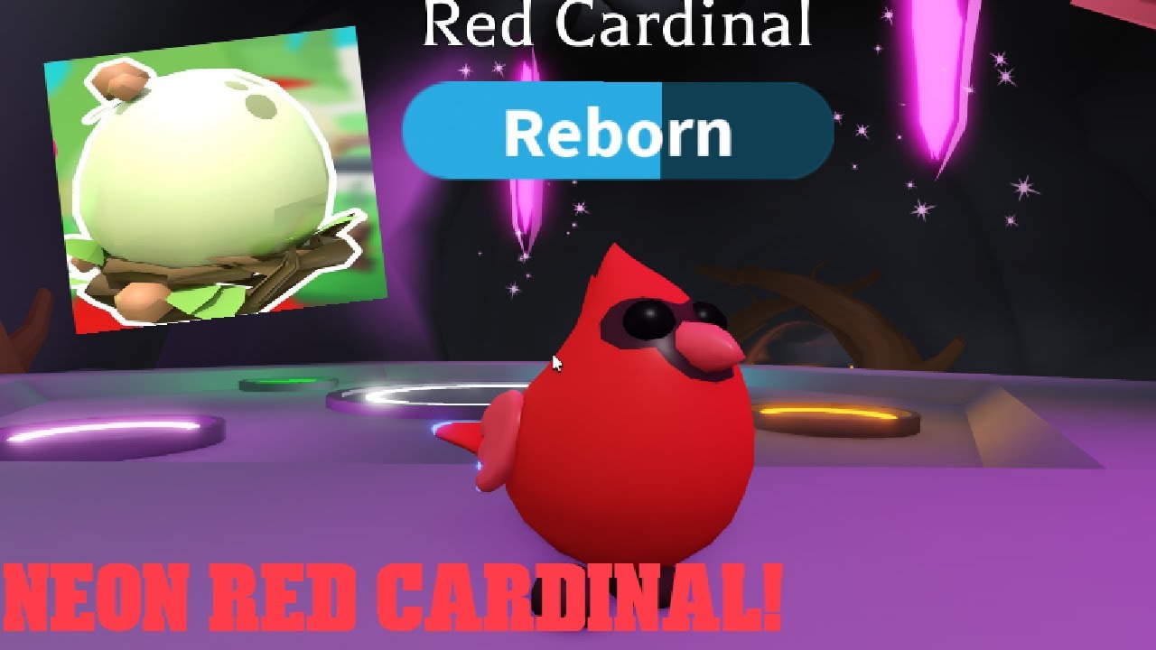 Making neon Red Cardinal in Roblox Adopt Me! - YouTube