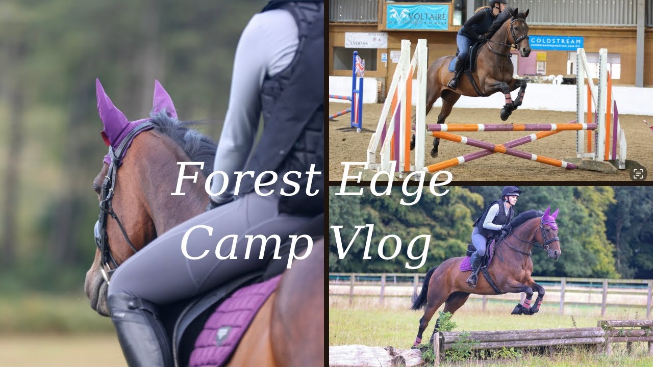 Forest Edge 2 Day Camp | Great Fun & Very Educational - YouTube