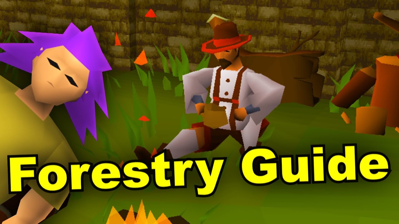 Everything You Need to Know about Forestry (Part 1 Guide) - YouTube