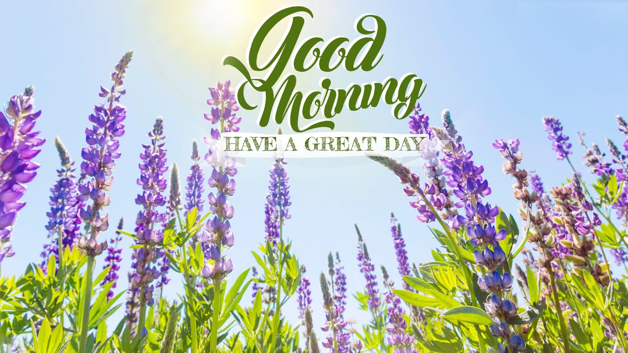 Morning Relaxing Music - Piano Music For Stress Relief & Study ...