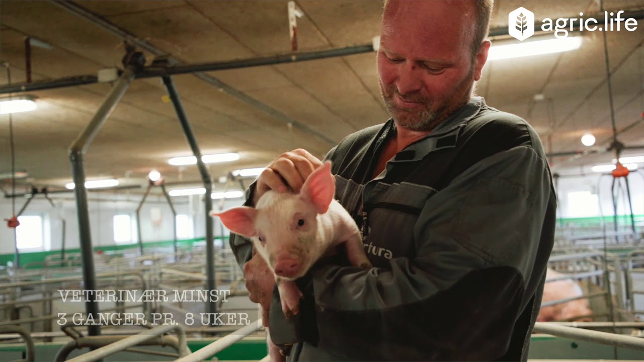 Kevin Solberg Agric - YouTube