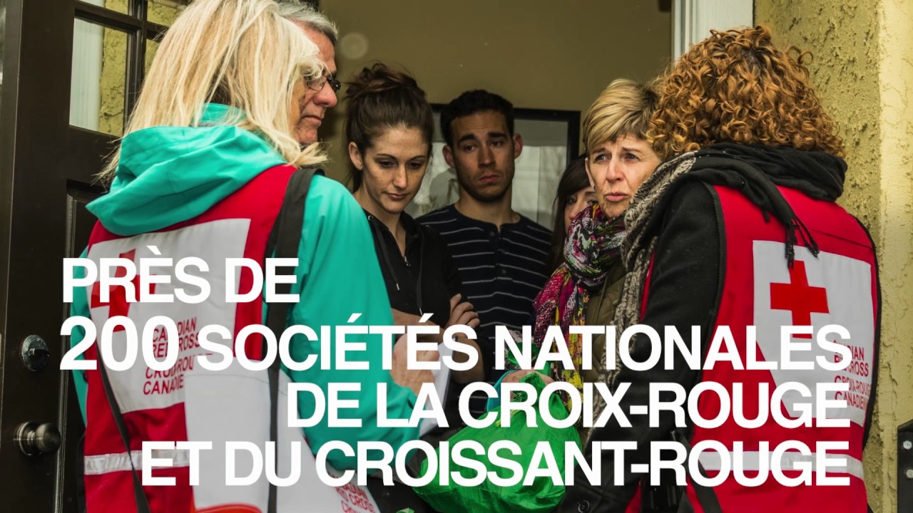 Le mouvement international de la Croix-Rouge et du Croissant-Rouge ...