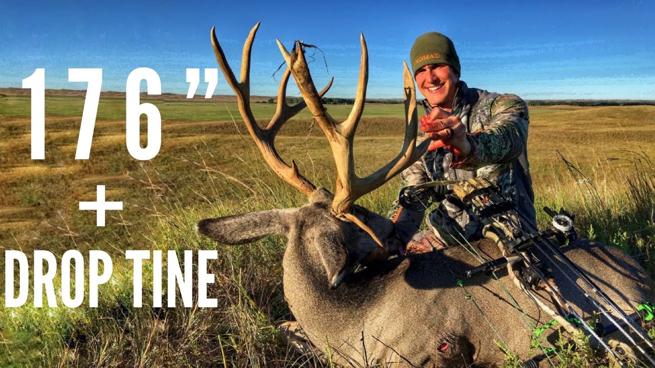 PERFECT SHOT on a 176 inch DROP TINE BUCK | Bowmar Bowhunting | - YouTube