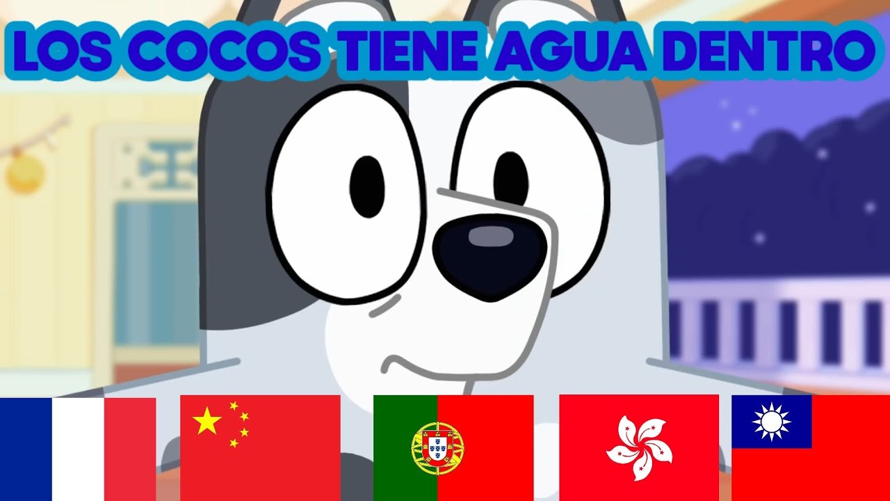 Los Cocos Tienen Agua Adentró | Multilenguaje, Bluey - YouTube