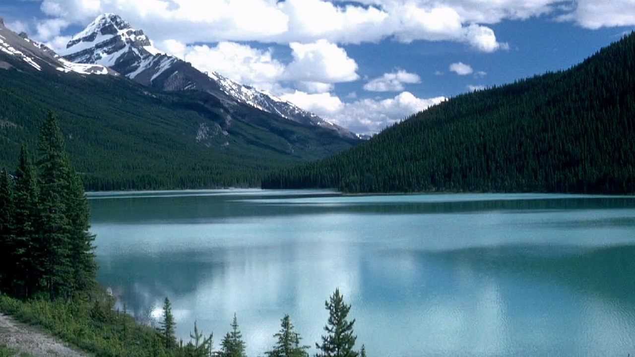 Loons - Sounds of Nature For Relaxation - YouTube