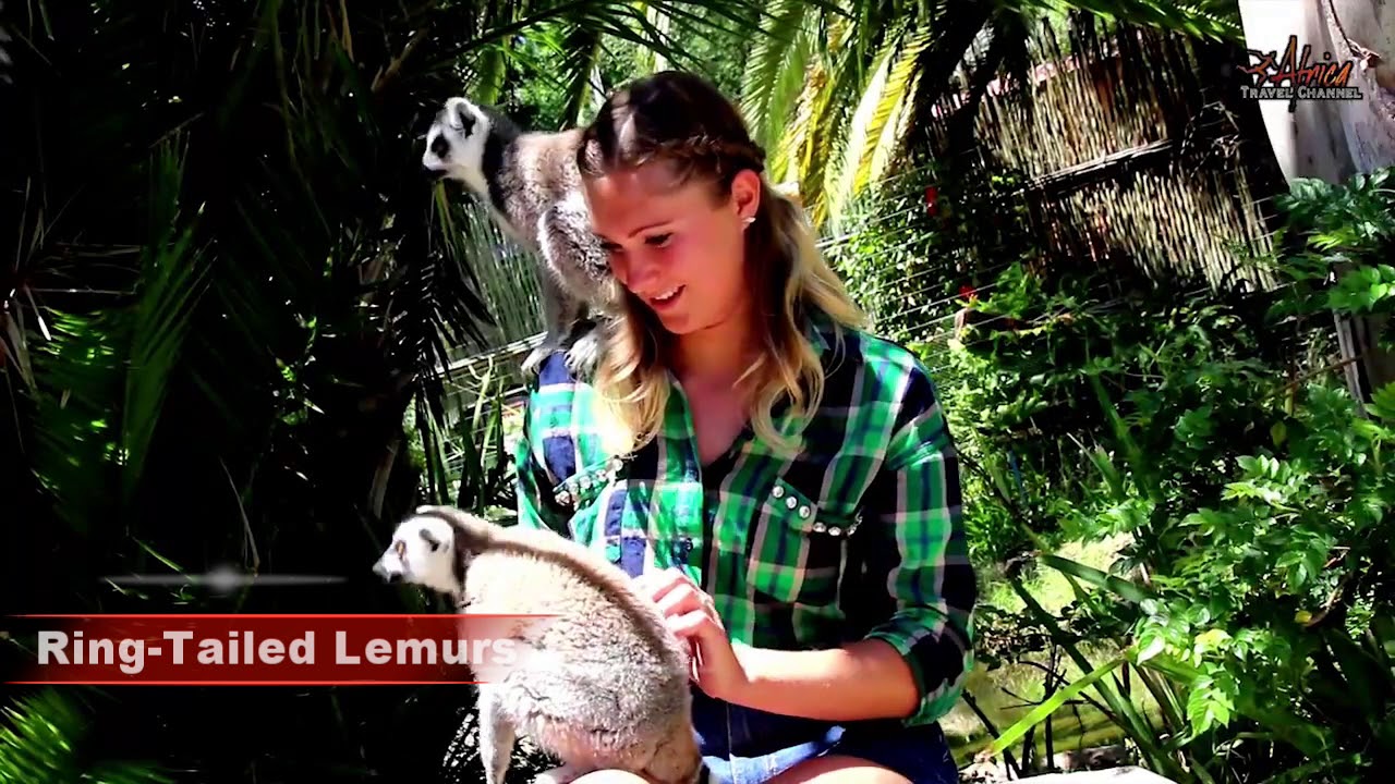 Cango Wildlife Ranch unique Animal Encounters - YouTube