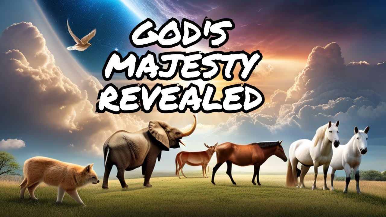 "The Majesty of God: His Character and Nature with All His Creatures ...