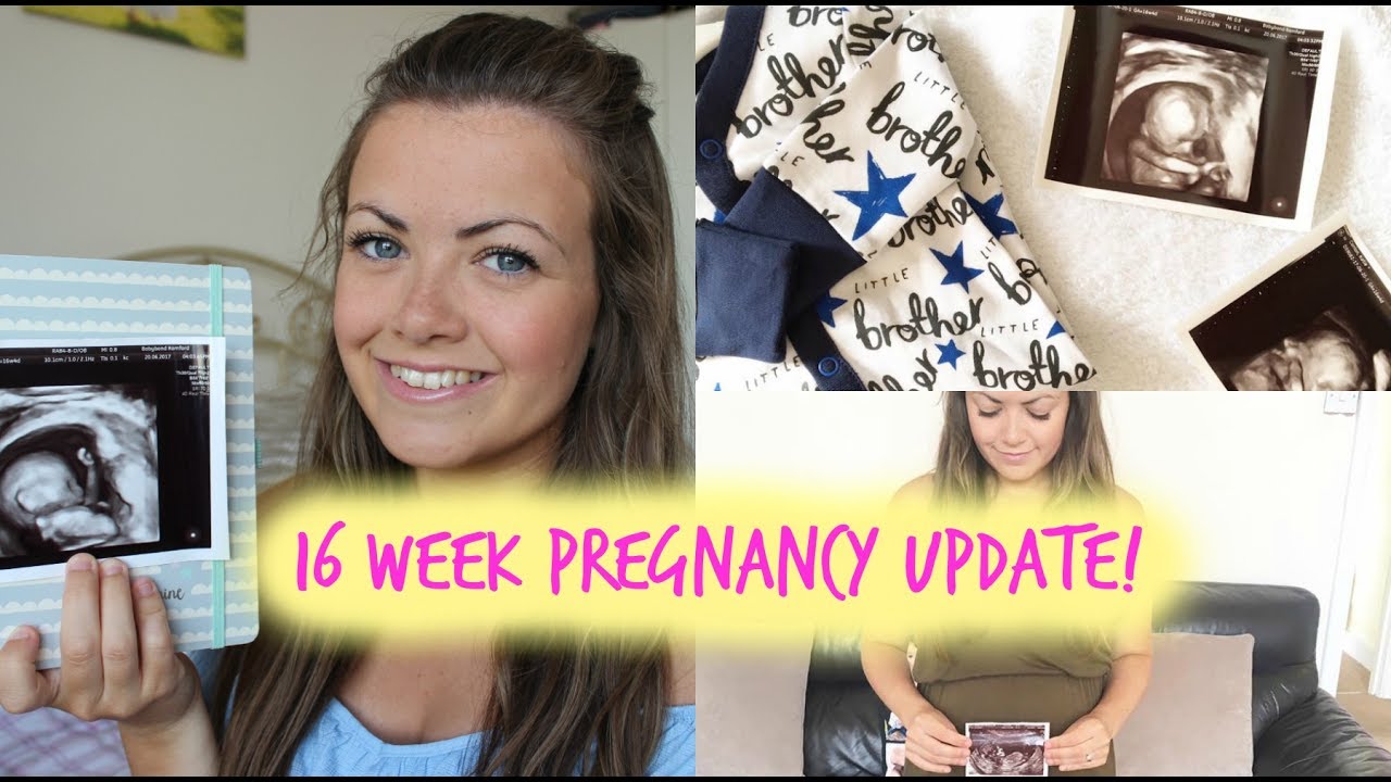 16 WEEK PREGNANCY UPDATE - GENDER SCAN,FEELING MOVEMENTS,& ANOTHER C ...