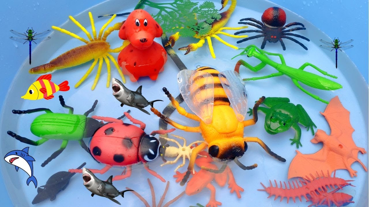 Box of Sea Animals Toys this Summer l sea animals names - YouTube