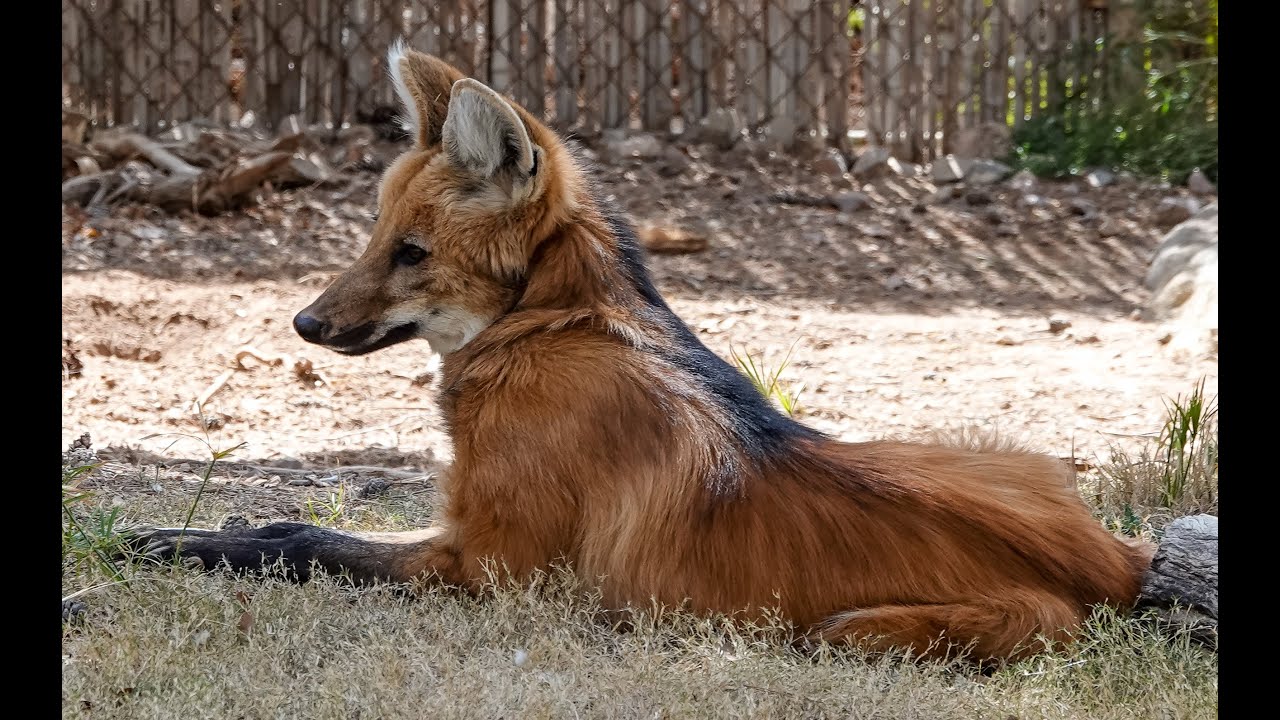 The 4 Types Of Love...Agape, Storge, Eros & Philia, John 15:13 - YouTube