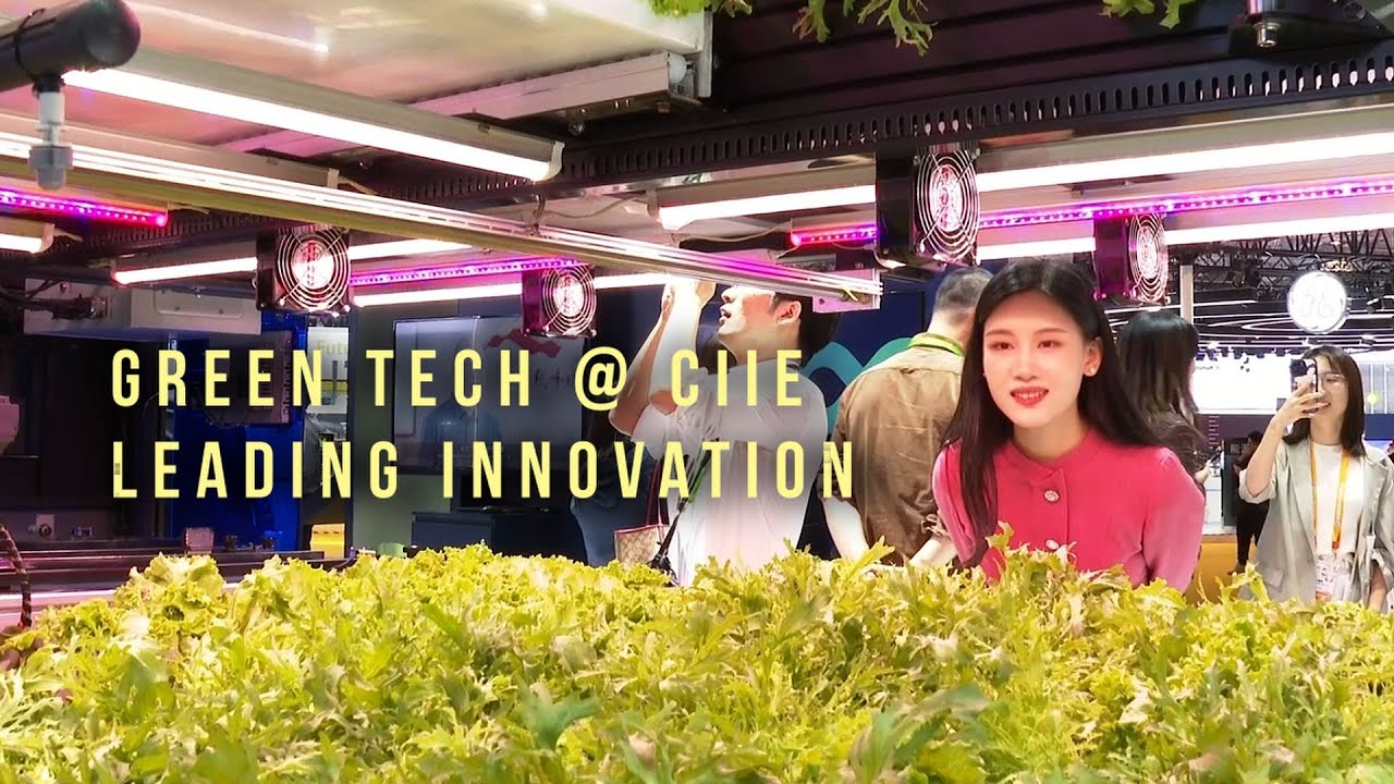 GLOBALink | Green tech at CIIE leading innovation | Sunny's Spotlight ...