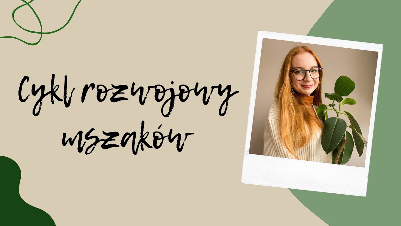 Cykl rozwojowy mszaków - YouTube