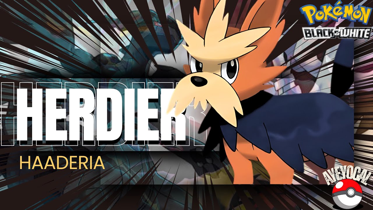 Where To Find HERDIER | Pokémon Black & White - YouTube