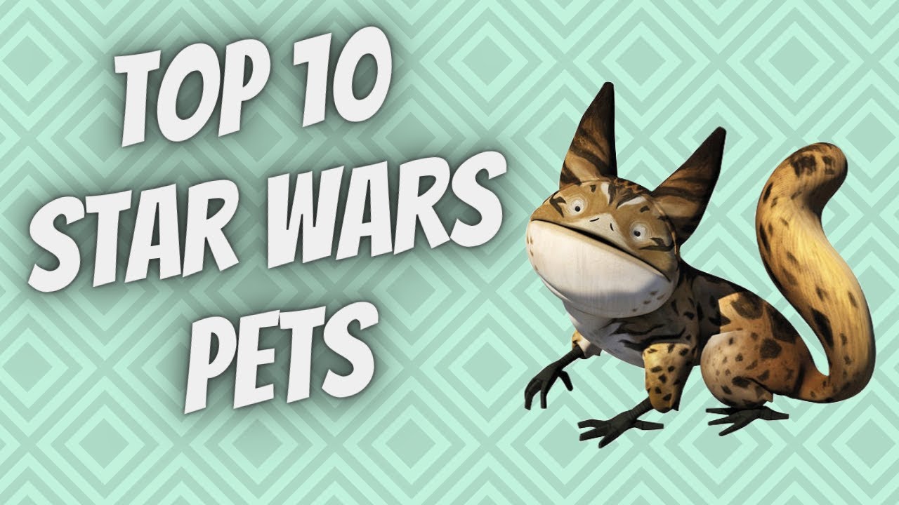 Top 10 Star Wars Pets - YouTube