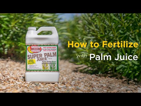 How To Fertilize: Super Palm Juice