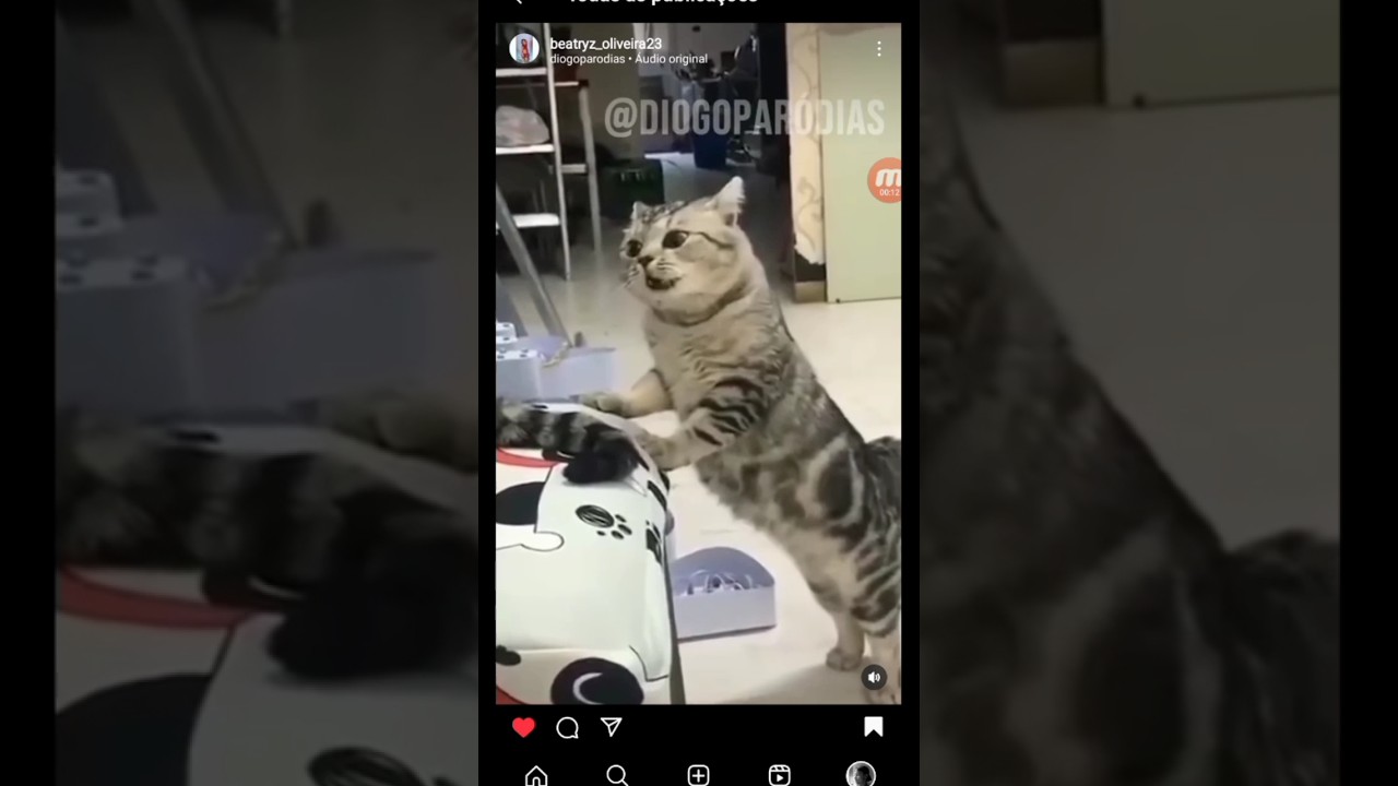 CÊ TÁ CHEIRANDO O CU #meme #gatos #shorts - YouTube