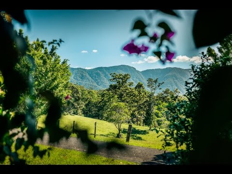 Promised Land Road, Bellingen, Australia by openhomeonline - YouTube