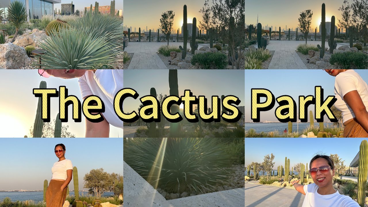 #188 vlog The Cactus Park in Al Jaddaf Dubai - YouTube