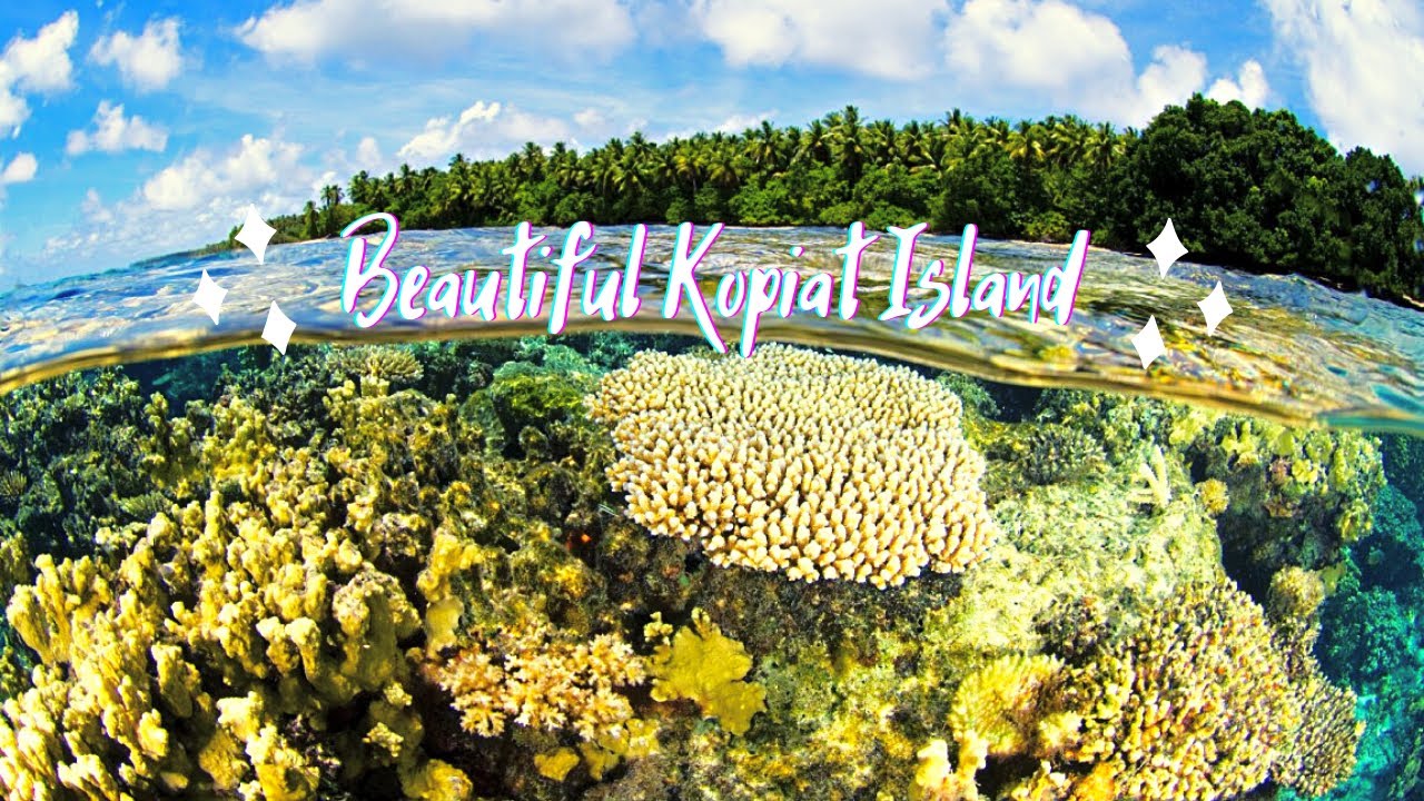 CORAL REEFS IN KOPIAT ISLAND 2022 | DAVAO DE ORO | PHILIPPINES | 4K UHD ...