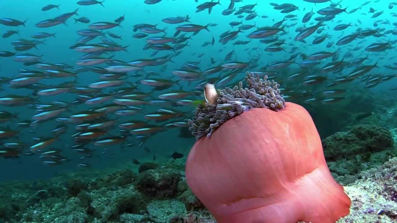 Bathala First Impressions - YouTube