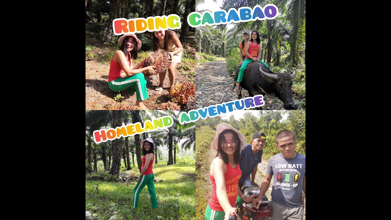 FARM OF PALM OIL + RIDING CARABAO | JOSIE OLSSON ️ - YouTube