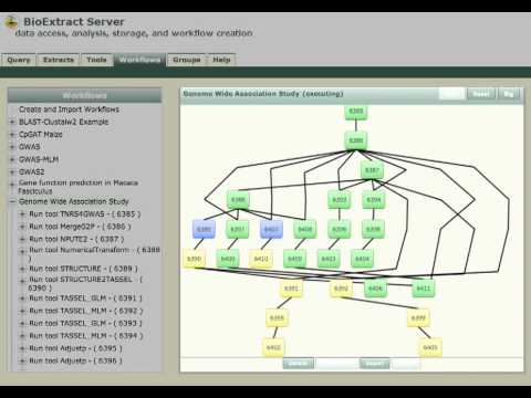 GWAS Workflow - YouTube