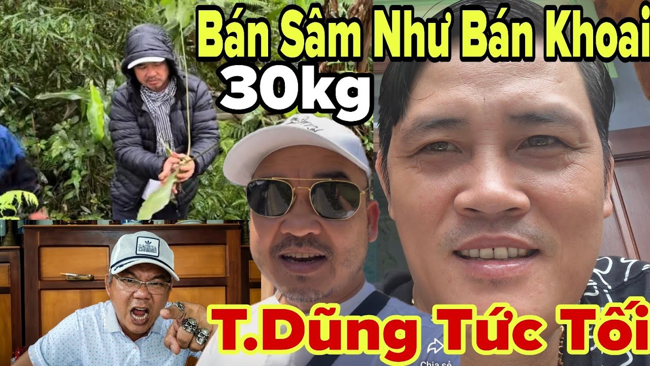 Anh Báu bán Sâm Tươi như bán Khoai đội nhóm T.Dũng đang lồng lộn vì ...