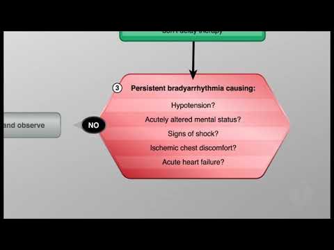 ACLS 2020 - Bradycardia Algorithm - YouTube