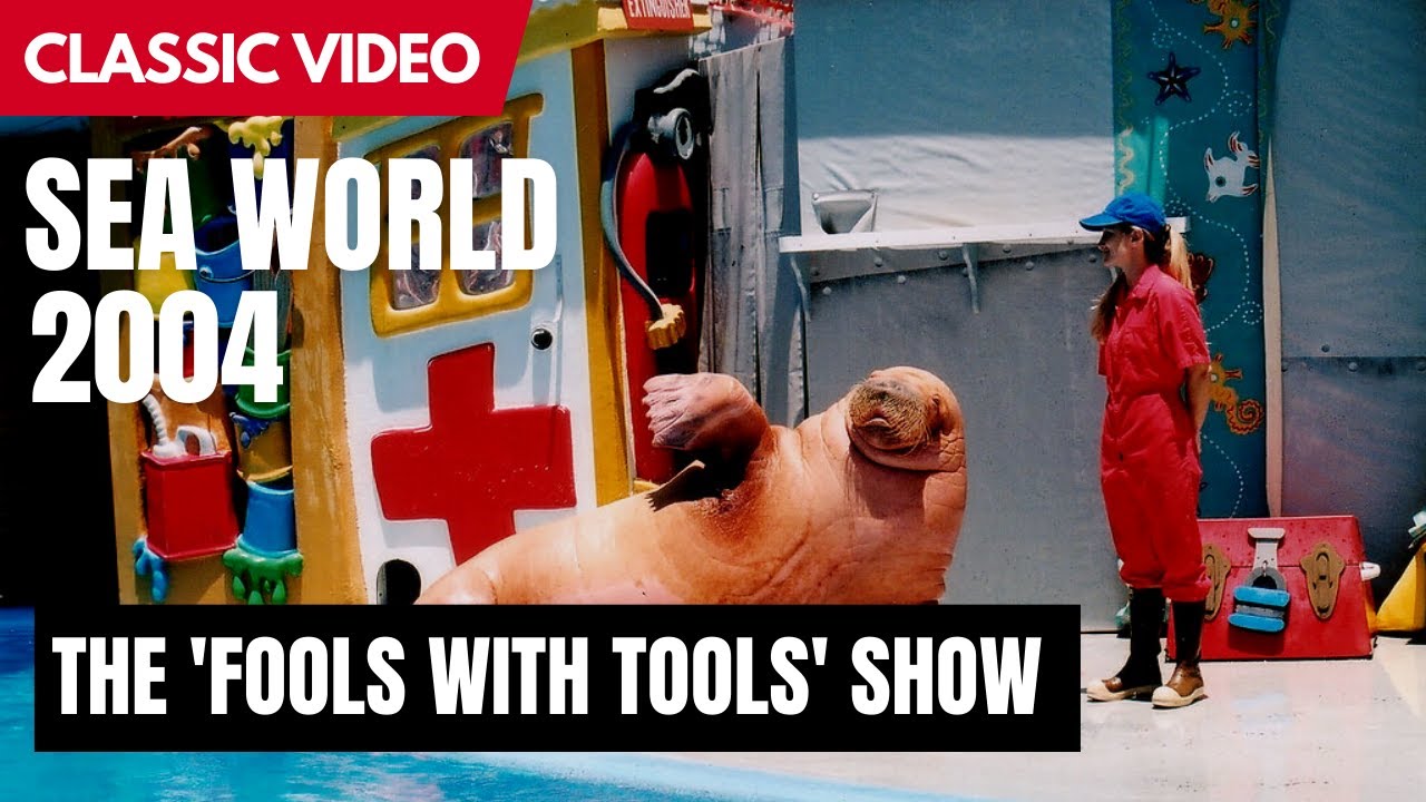 THE 'FOOLS WITH TOOLS' SHOW - Sea World, California - YouTube