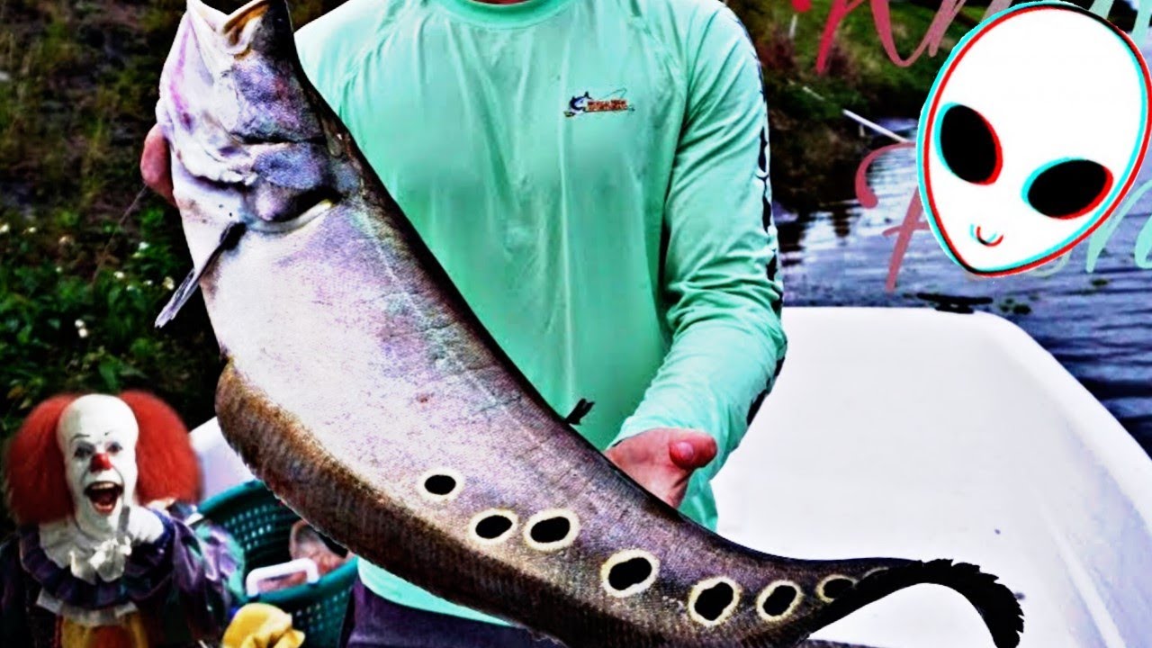 Rare Alien Fish Caught! FT. South Florida Bass Charters and Hardytmes ...