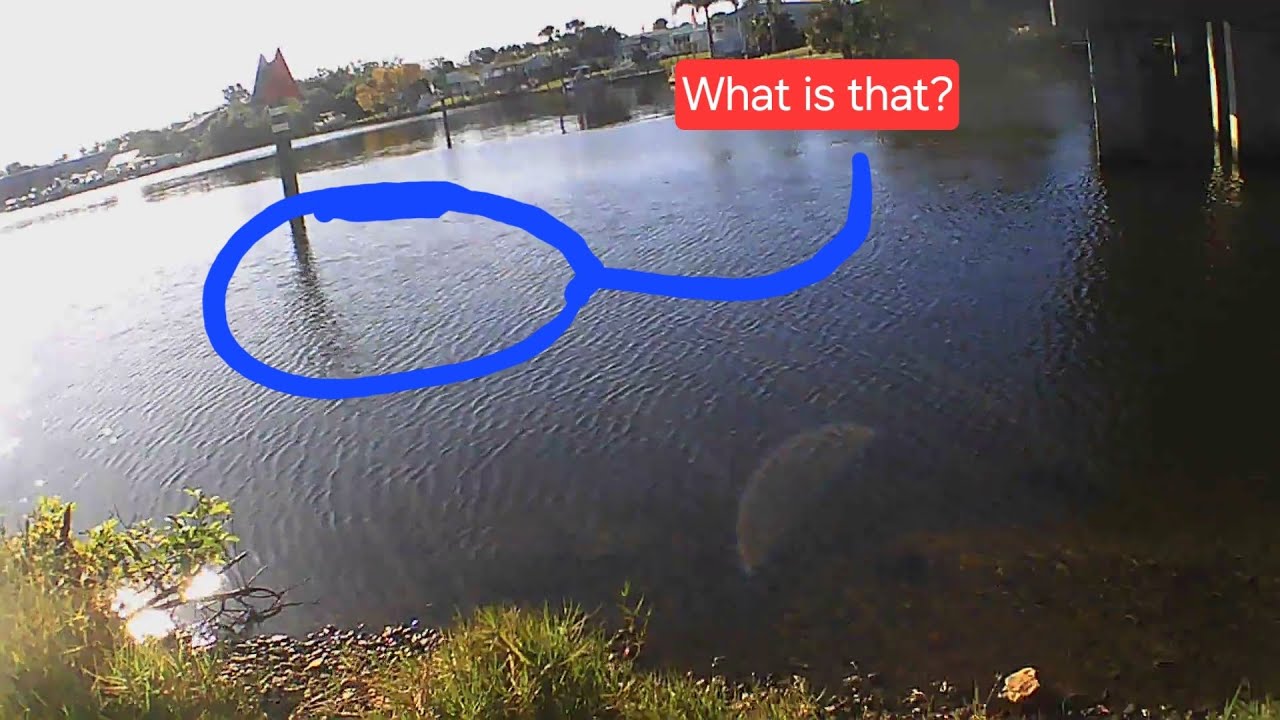What will be found magnet fishing under a railroad bridge... # ...