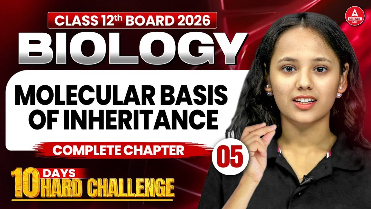 Class 12 Biology | Chapter 5 Molecular Basis of Inheritance | for Pre Board Exam 2025-26 - YouTube