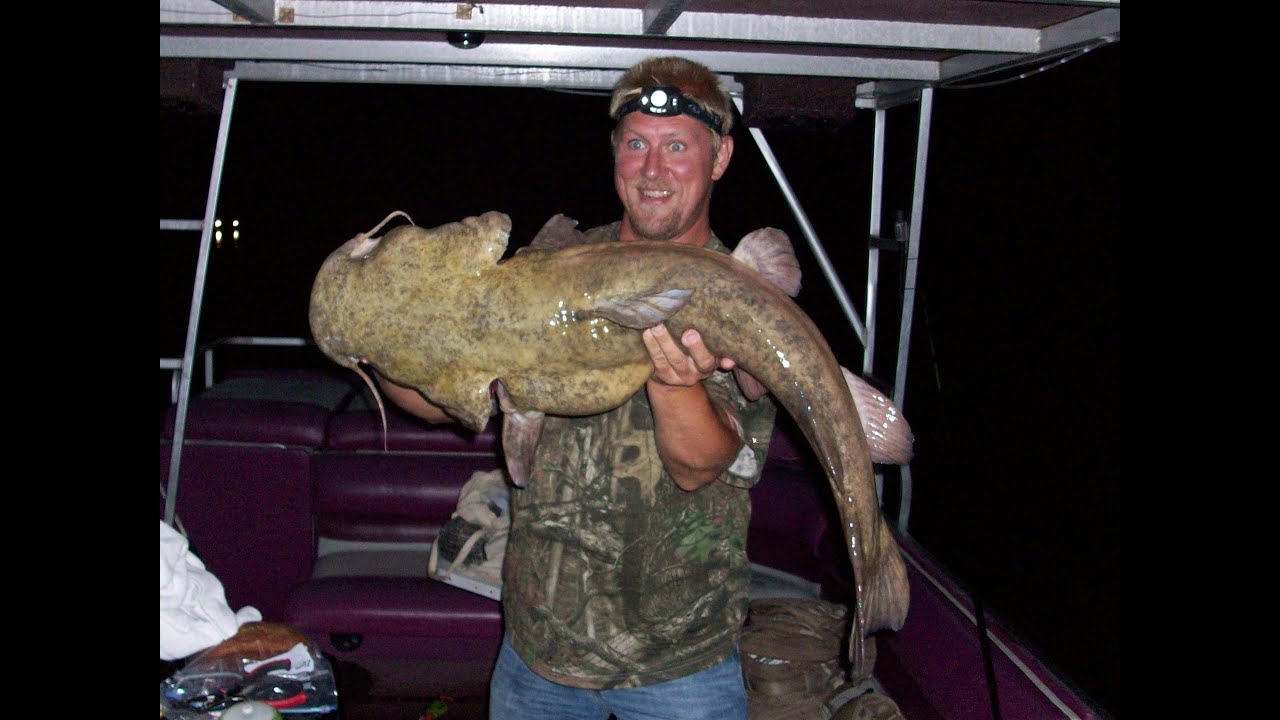 How To Catch Catfish, Rig, Tips And Bonus Footage - YouTube