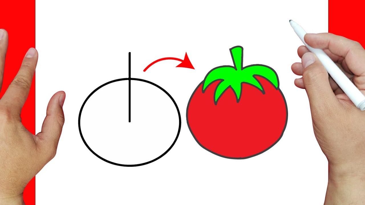 Cómo dibujar un Tomate paso a paso | Dibujos fáciles - YouTube