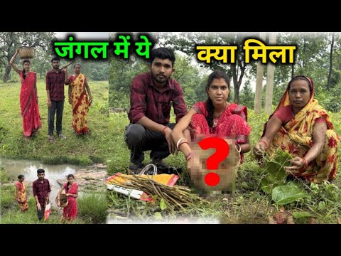 जंगल में ये क्या मिला | Husband जी ये क्या बोल दिये | Sonam Priya Vlogs 
