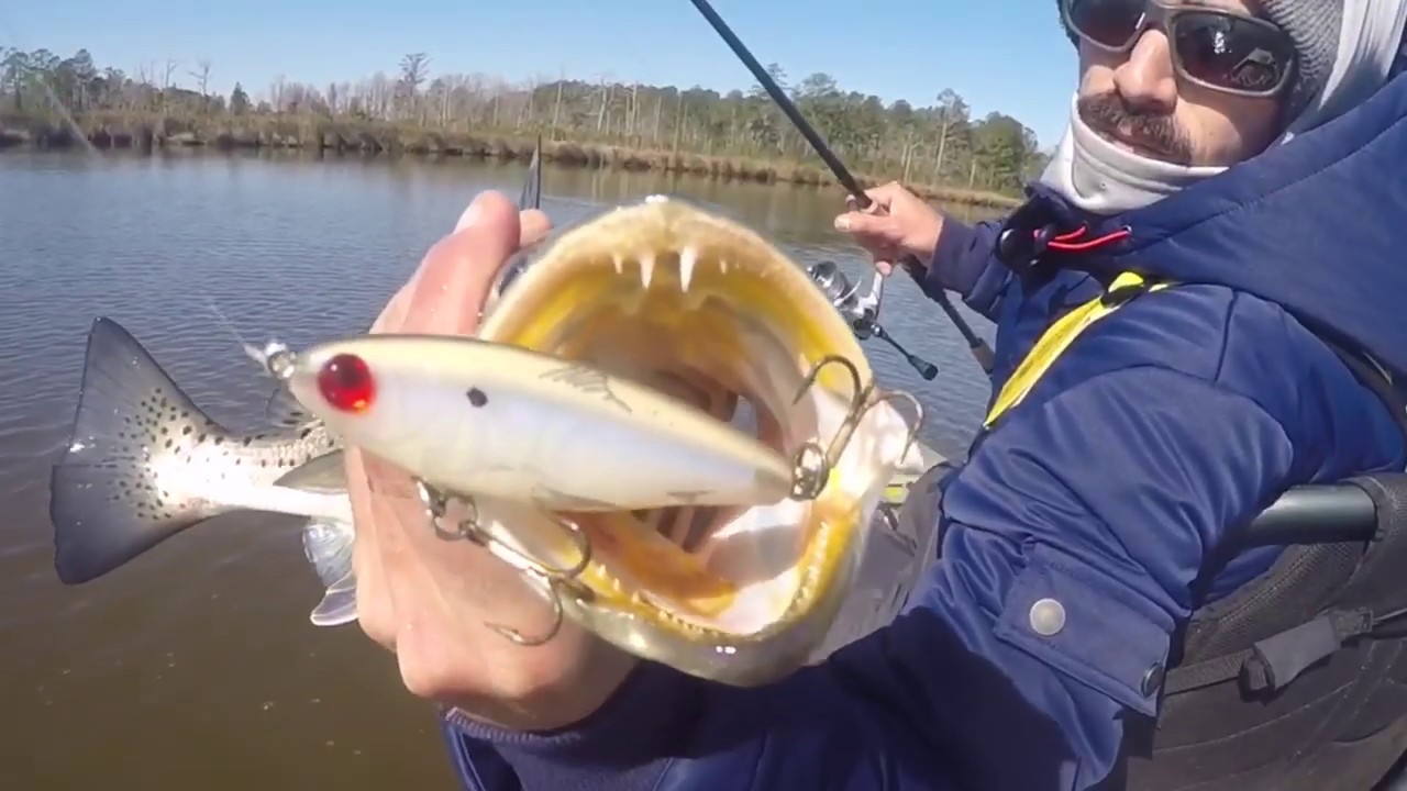 SPECKLED SNOW (Winter Trout Fishing) - YouTube