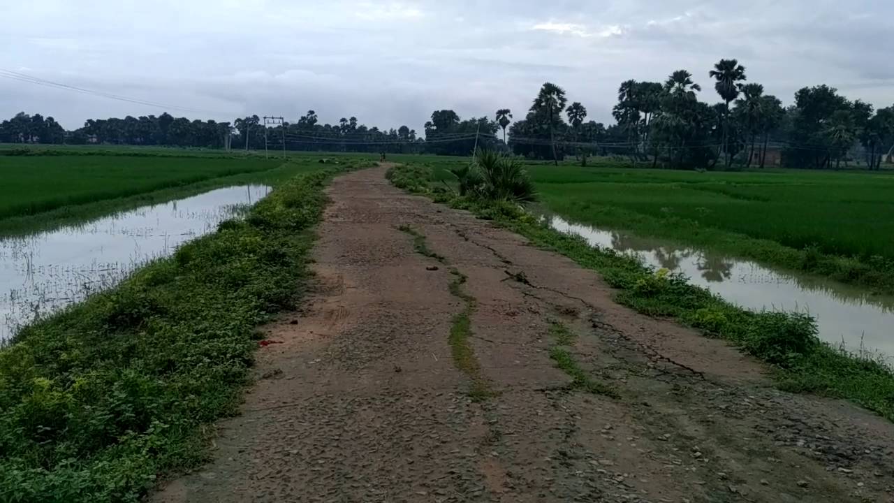 Natural video of Badahar /Jehanabad - YouTube