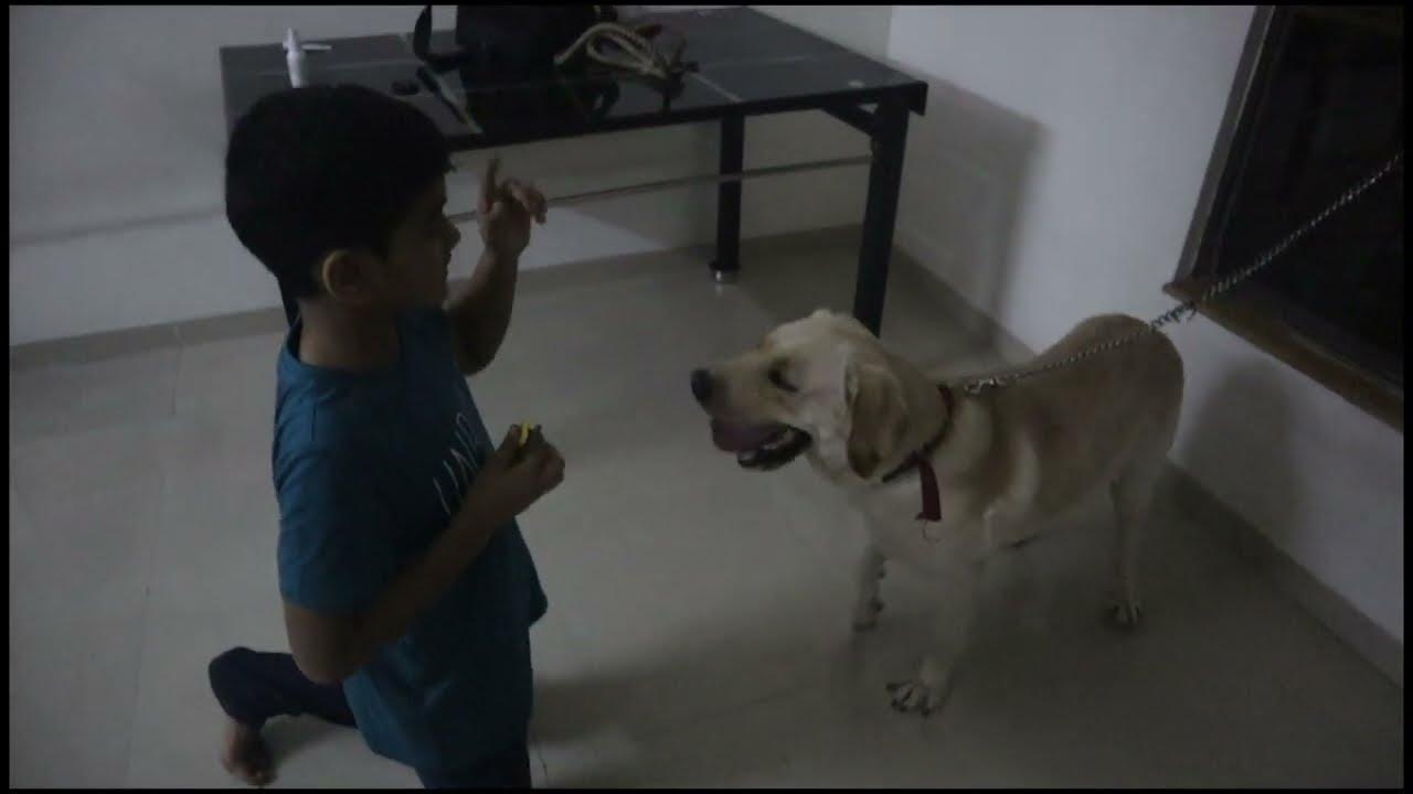 happy bithday tuffy and tuffy 😂😂 | awali vlogs - YouTube