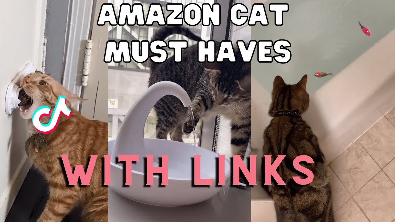 TikTok Compilation || Amazon Cat Must Haves with Links! Cat Finds and ...