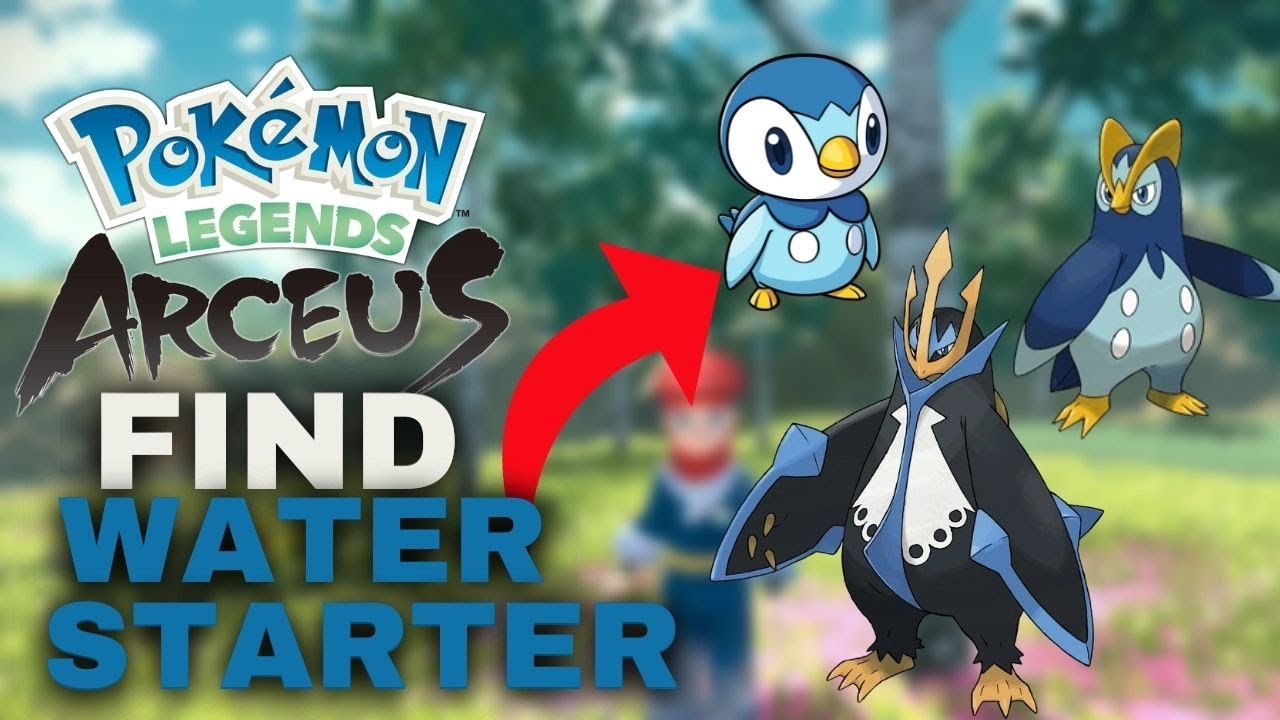 Piplup Pokemon Evolution