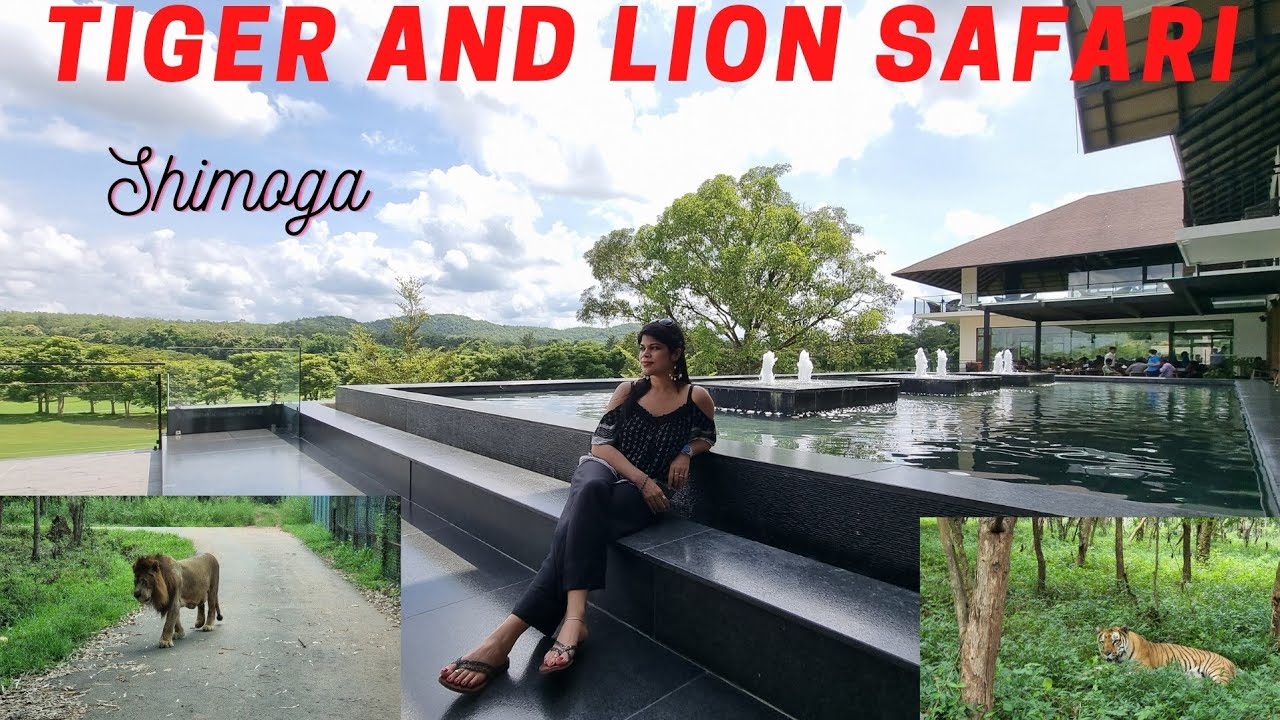 Tiger and Lion Safari Shivamogga | Shimoga Zoo | Tyavrekoppa Tiger ...