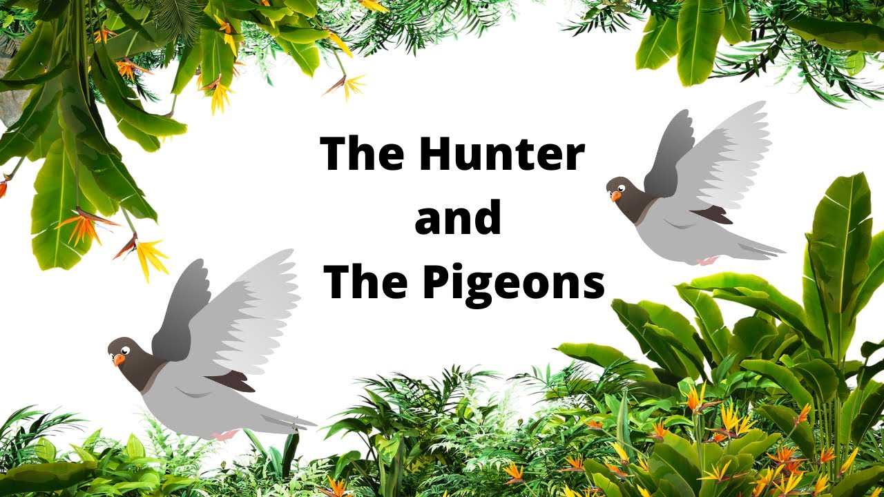 The Hunter and the Pigeons / Best learning & moralshort stories for ...