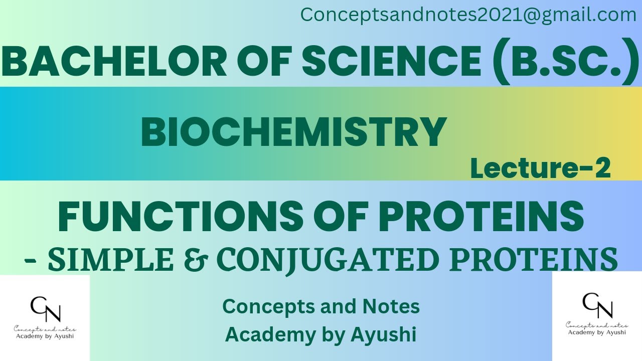 Functions of protein || Simple & Conjugated proteins || Biochemistry ...