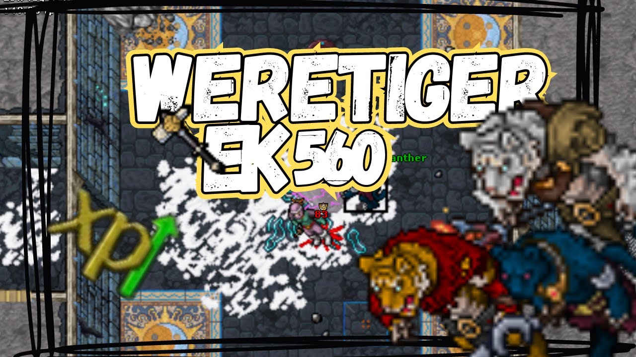 Tibia - SOLO WERETIGERS EK 560 sem runas ! O kelloggs da bom? - YouTube