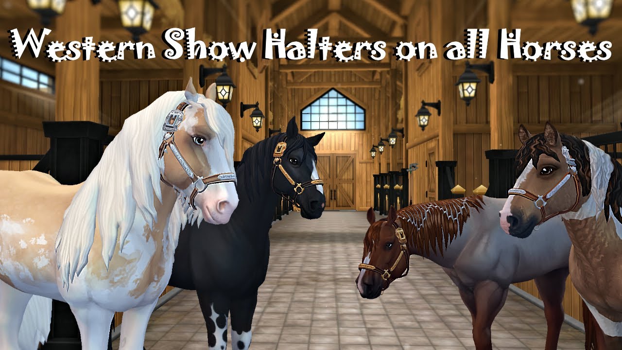 Western Show Halters on All Current Generation 3 horses ~ Star Stable ...