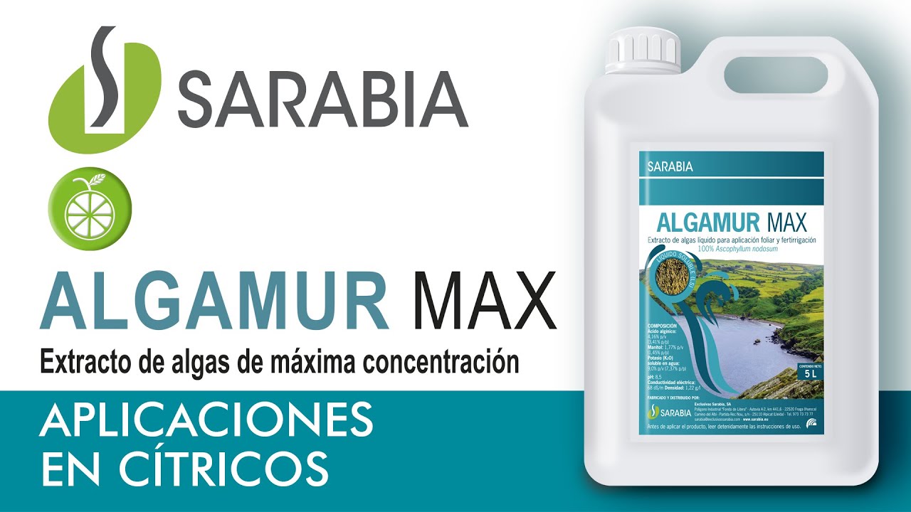 barato Dirección paz acemur insecticida Sucio demoler He aprendido