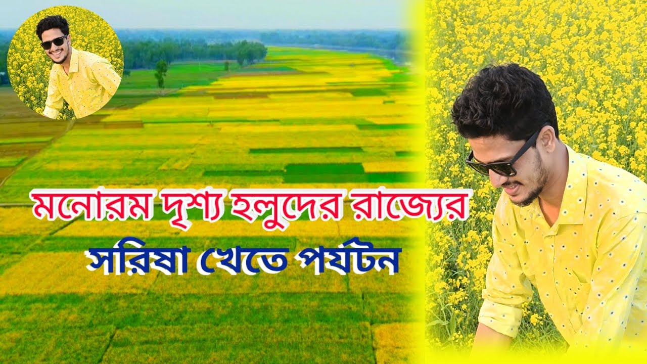 সরিষার হলুদ ফুলে ছেয়ে গেছে বাংলাদেশ, সরিষা ক্ষেতের পর্যটন। Shorisha ...